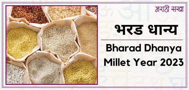 भरड धान्य | Bharad Dhanya | Millet Year 2023